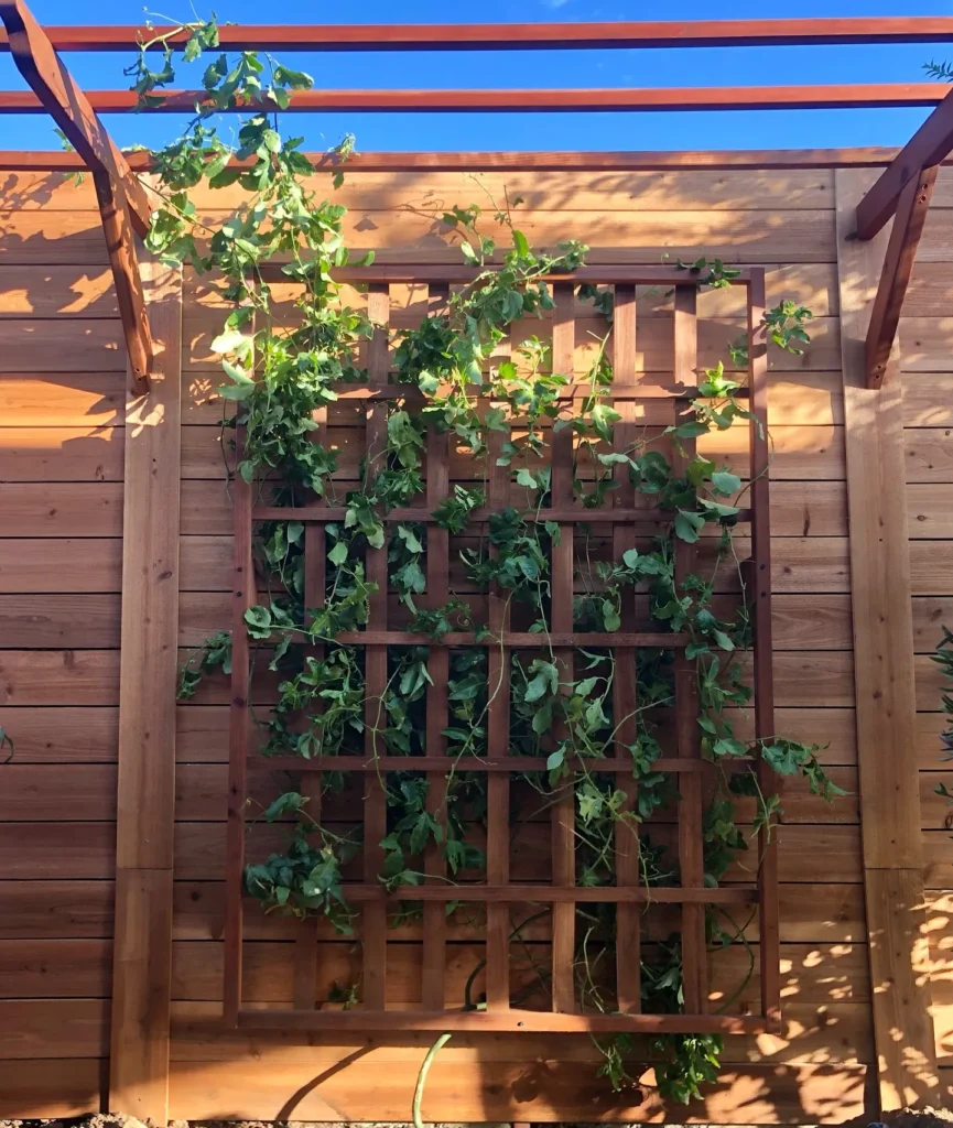15 DIY Garden Trellis Ideas on a Budget Bare Garden to Lush Space